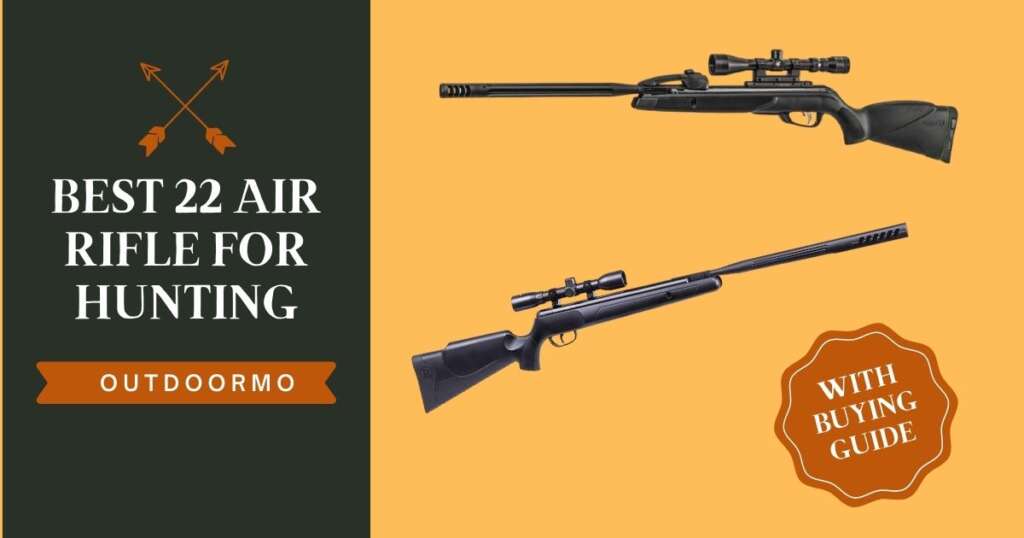 Best .22 Air Rifle for Hunting Reviews {Budget Friendly} (2021)