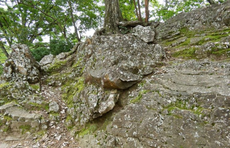 Rockhounding In Missouri | A Detailed Guide | Where To Go And What To ...